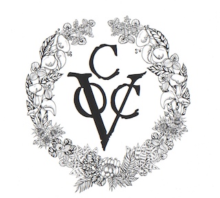 Our New Logo – VOC Foundation (Cabo) Website